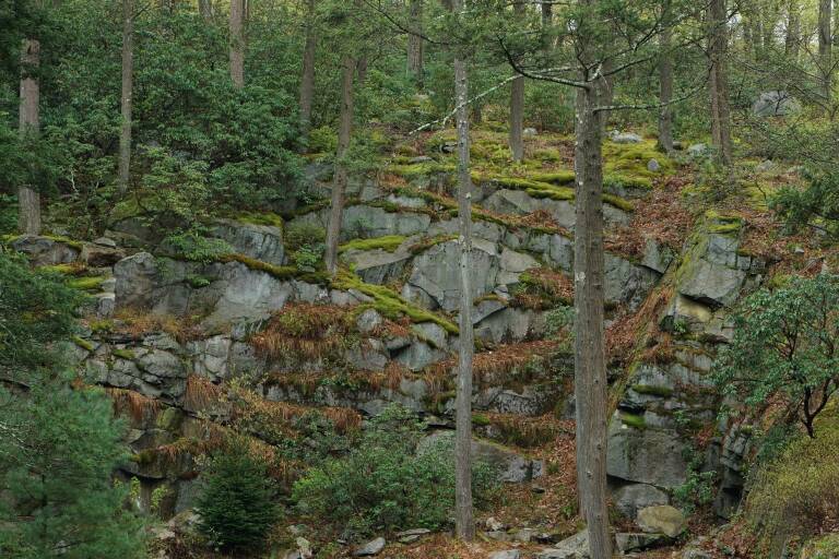 Russel Wright's Manitoga: His 'Forest Garden' in Garrison, NY, Is a ...