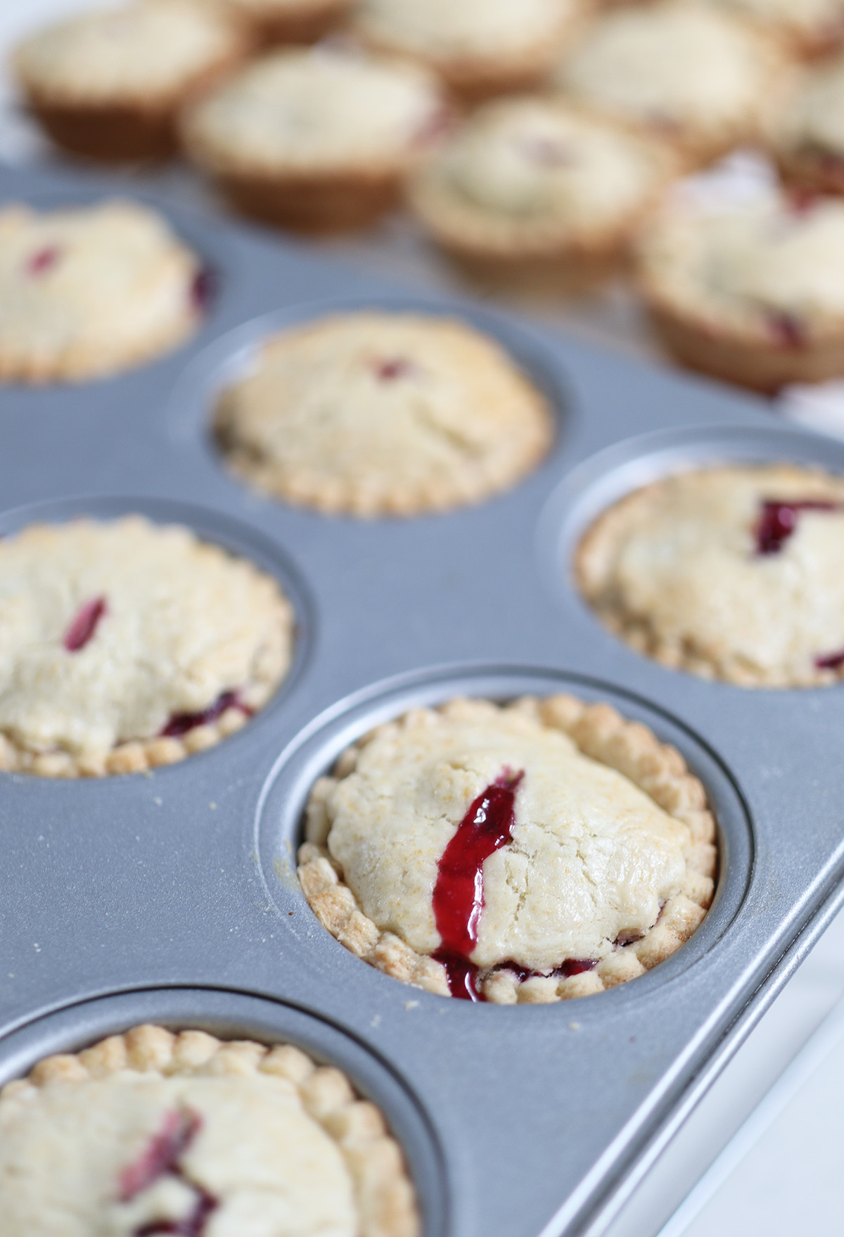 Serviceberry pie celebrates the start of summer berry season