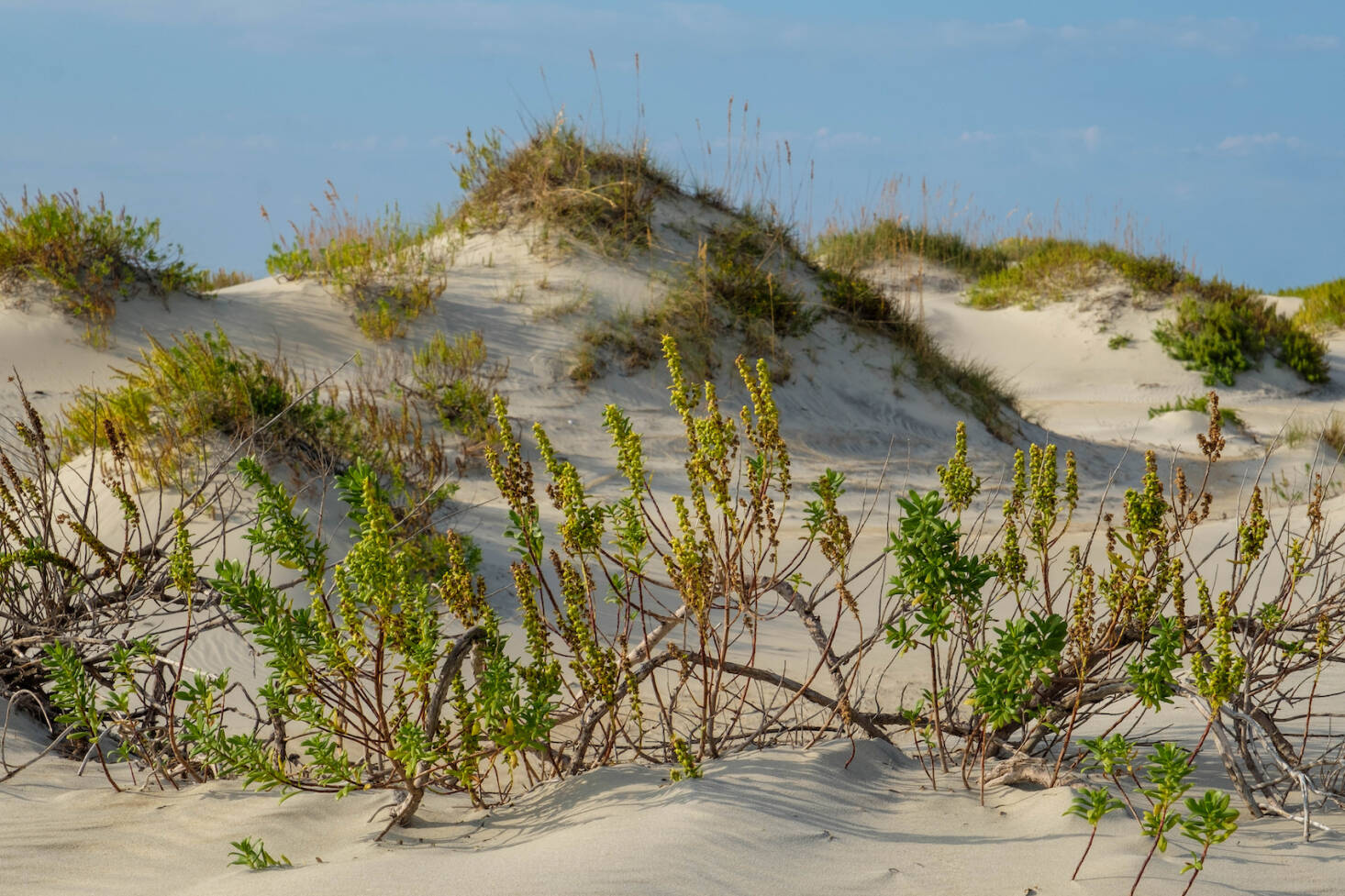 'Shrouded in Light': A New Book by Kevin Williams and Michael Guidi ...