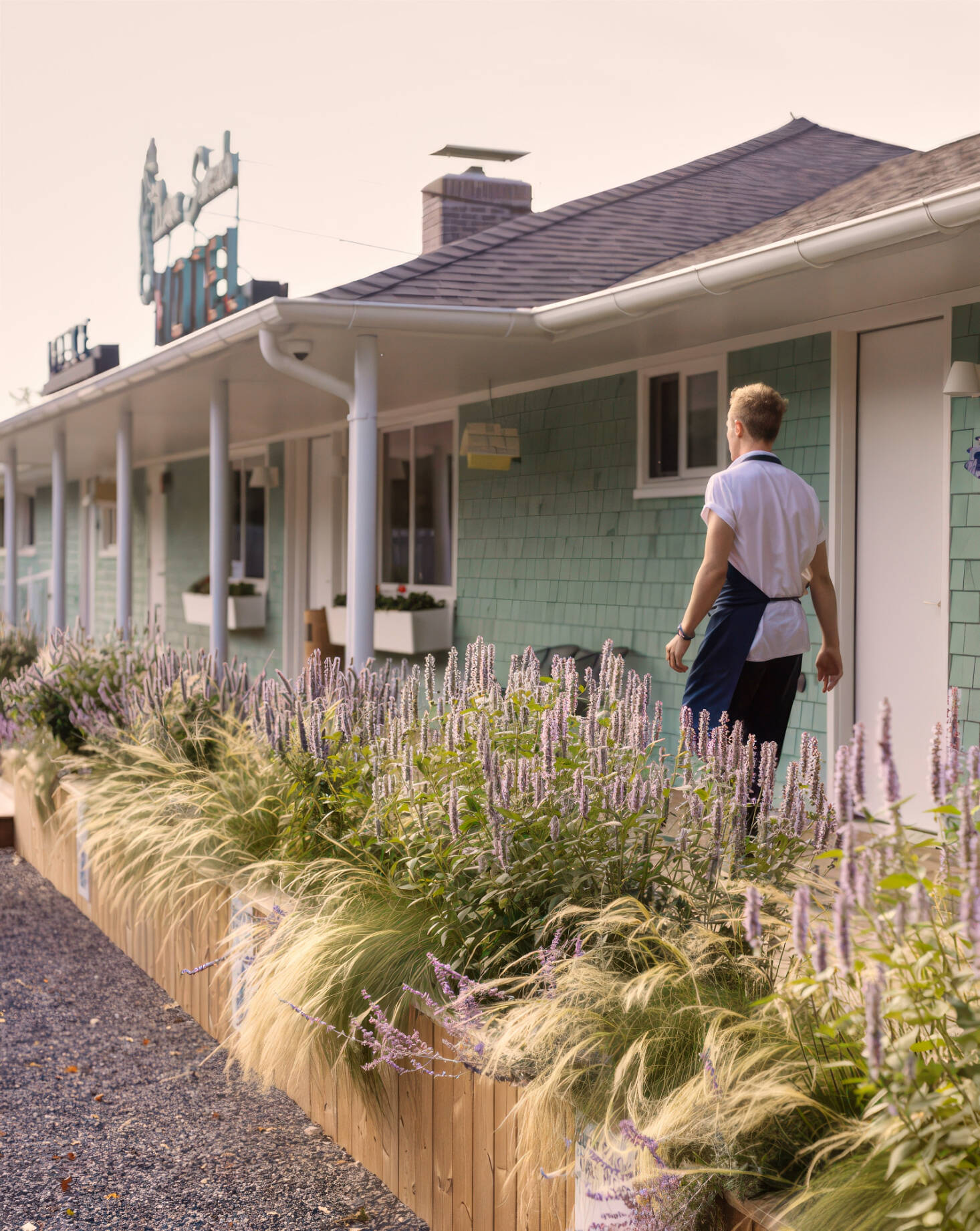 Silver Sands Motel: How Melissa Reavis of Hollander Design Redesigned ...