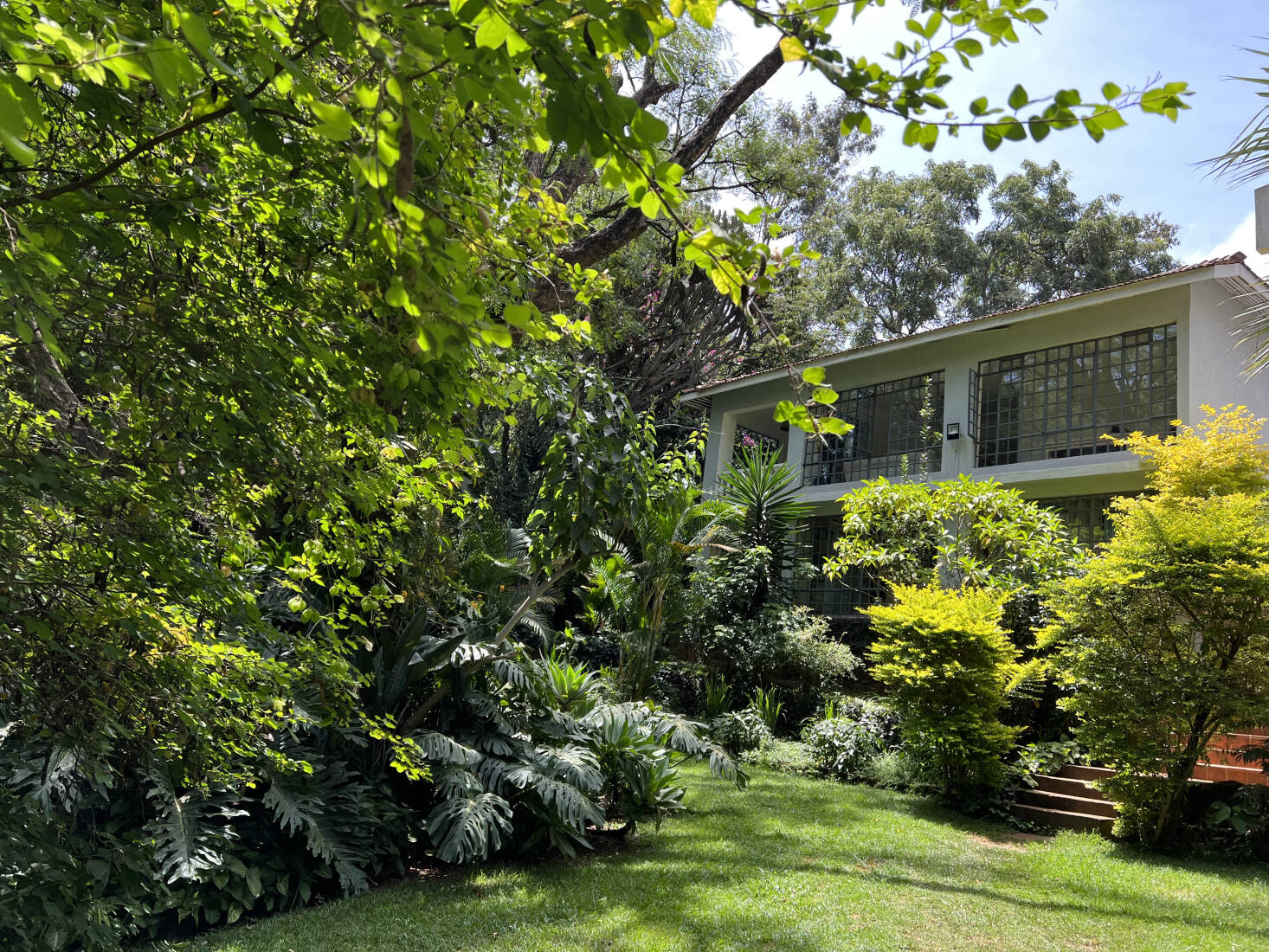 Wambui Ippolito: An Interview with the Landscape Designer