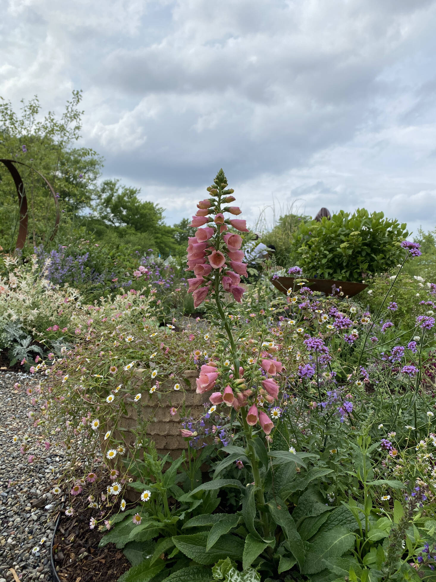 Wambui Ippolito: An Interview with the Landscape Designer