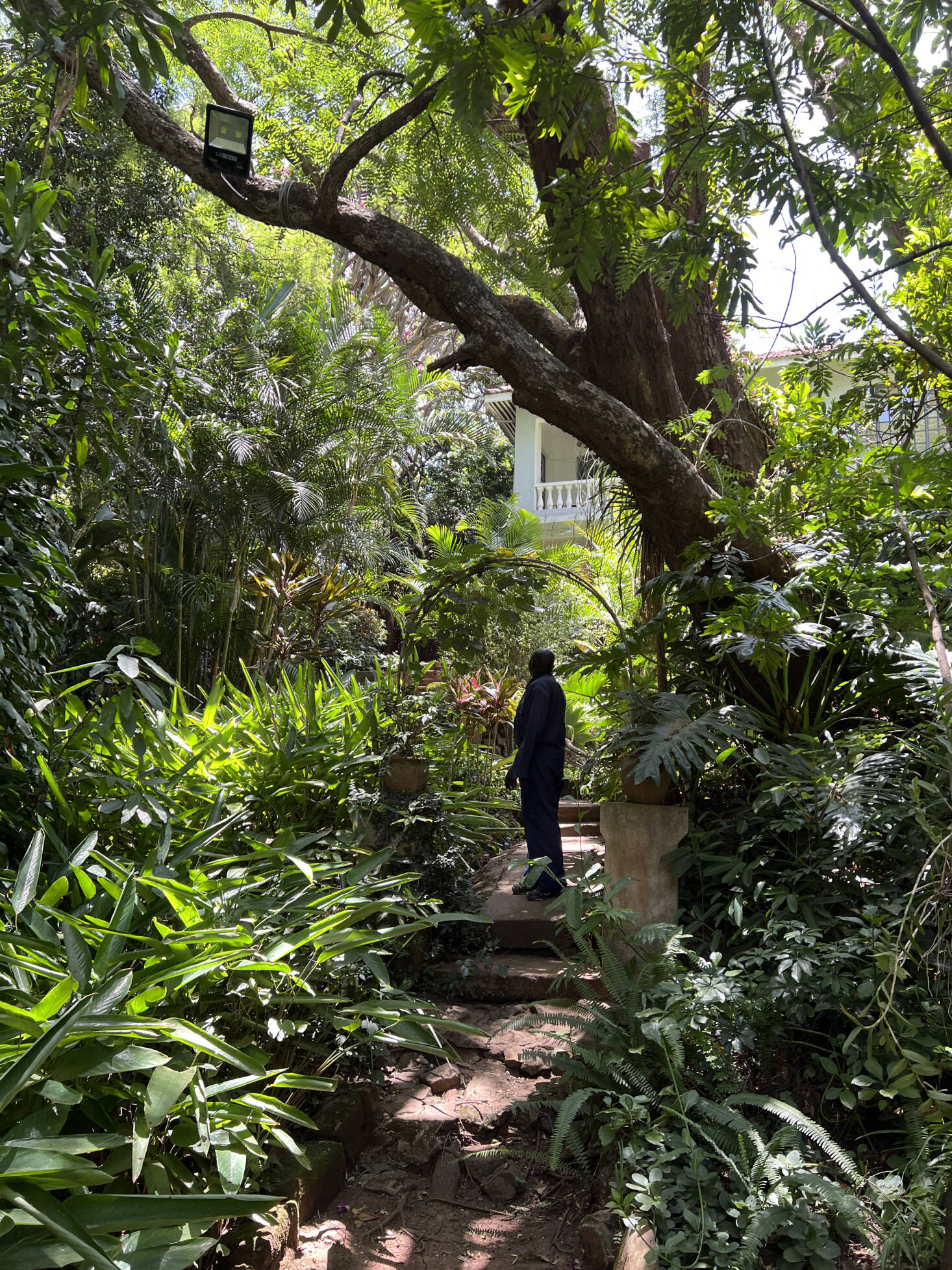 Wambui Ippolito: An Interview with the Landscape Designer