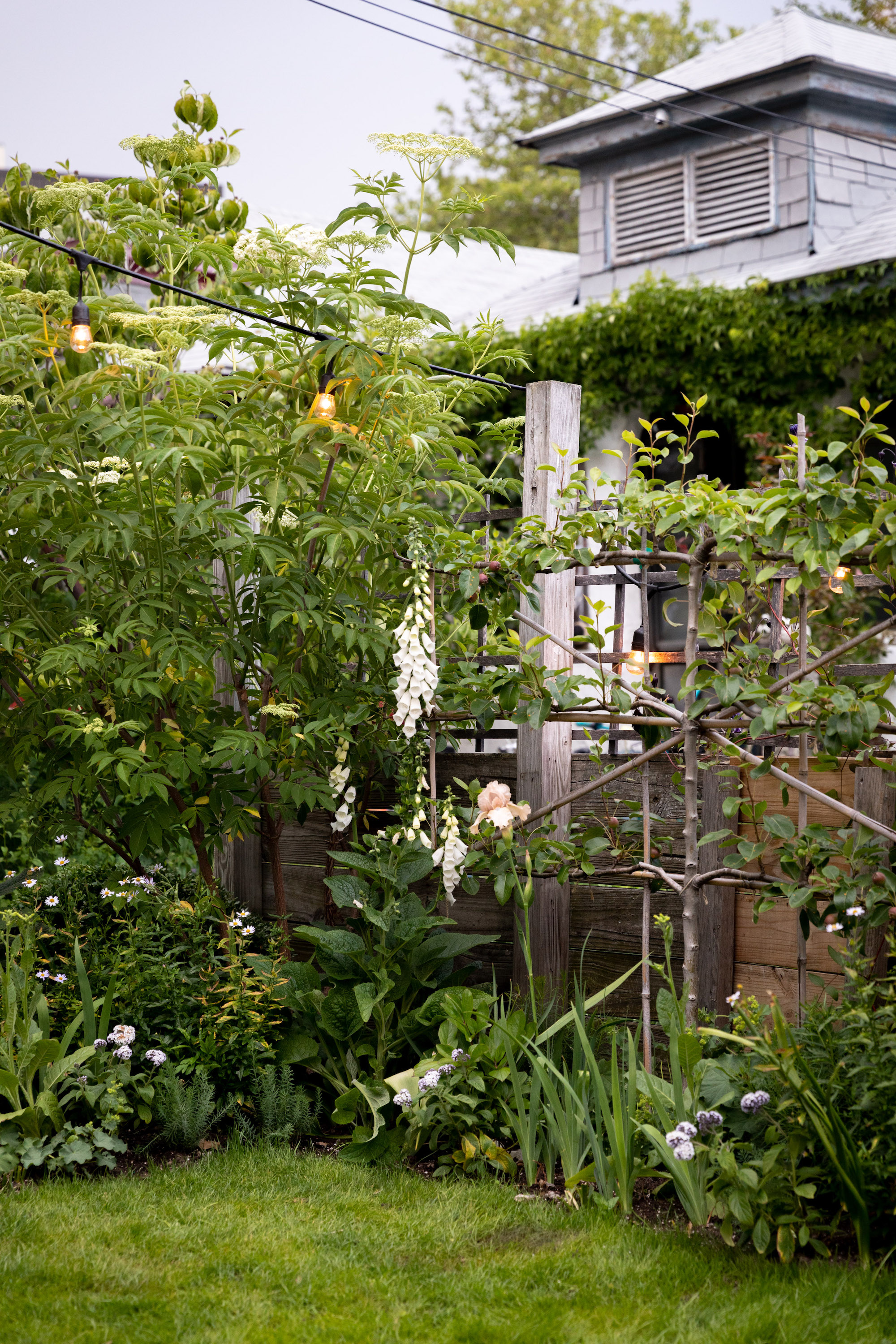 Alexandria Donati and Jonathan Chesley's Rockaway Beach Garden