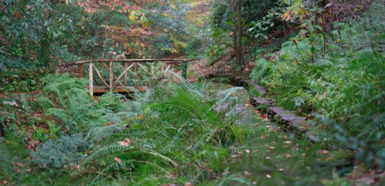 Louise Wrinkle: 'A Garden in Conversation' Is About the Landscape in ...