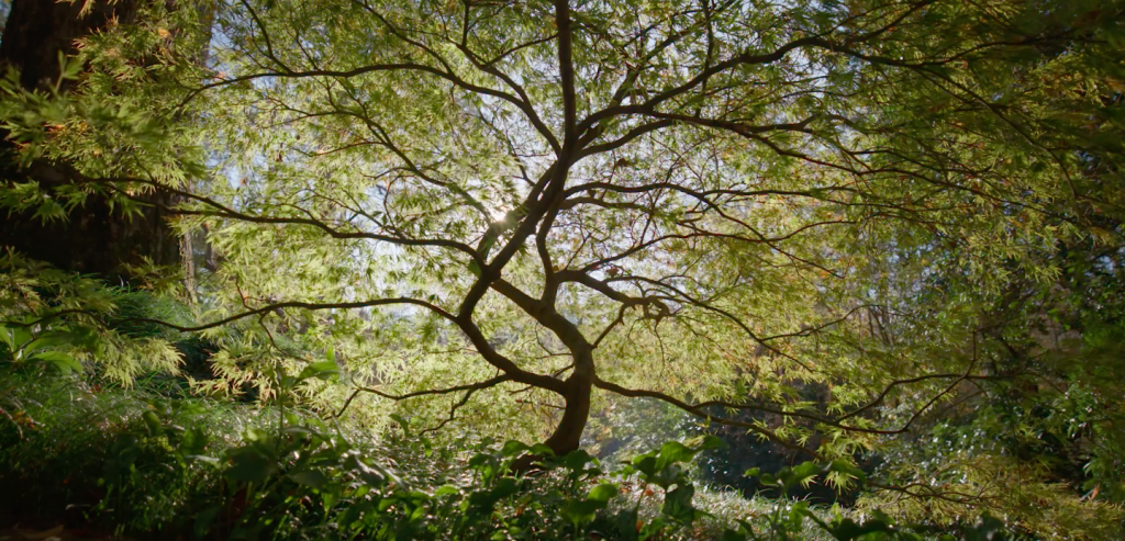Louise Wrinkle: 'A Garden in Conversation' Is About the Landscape in ...