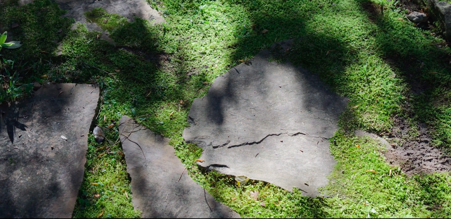 Louise Wrinkle: 'A Garden in Conversation' Is About the Landscape in ...