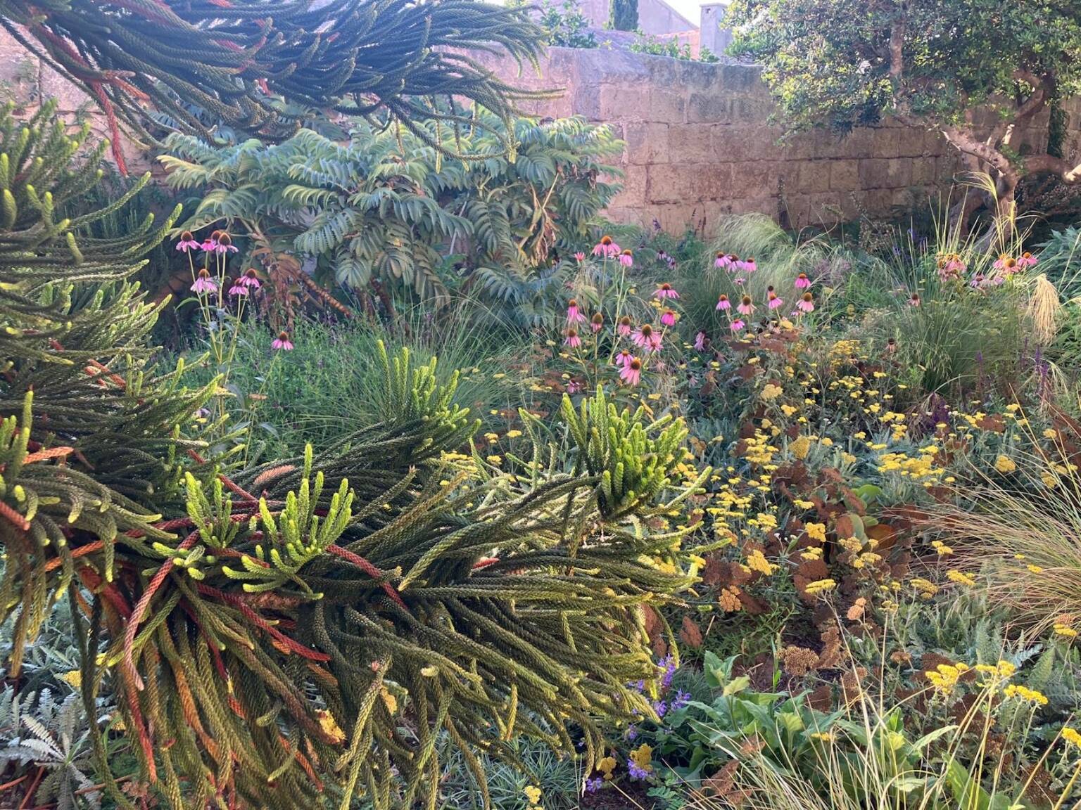 Garden Visit: Piet Oudolf in Quiet Menorca - Gardenista