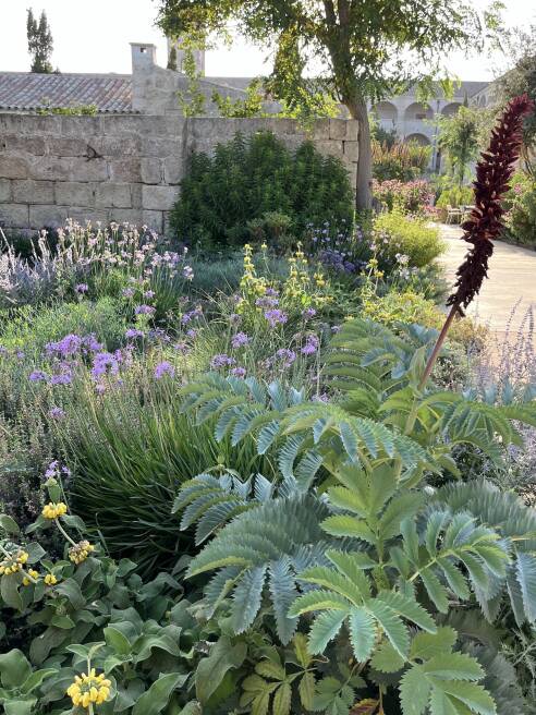 Garden Visit: Piet Oudolf in Quiet Menorca - Gardenista