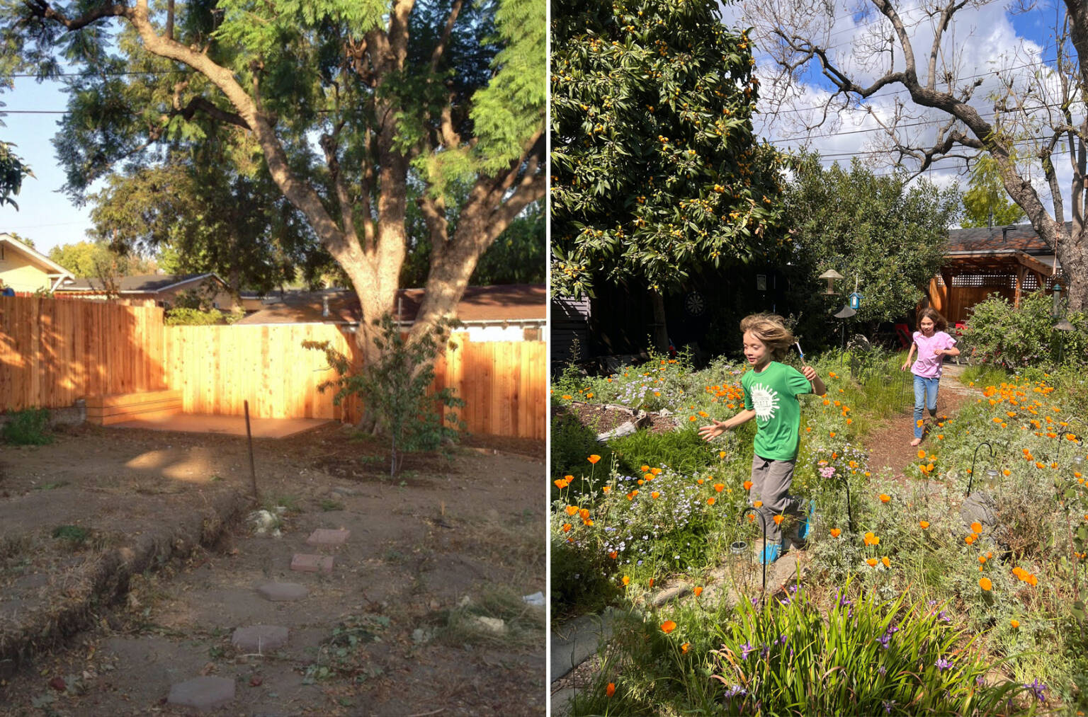Wild Yard Project: David Newsom's Mission to Re-Wild Landscapes