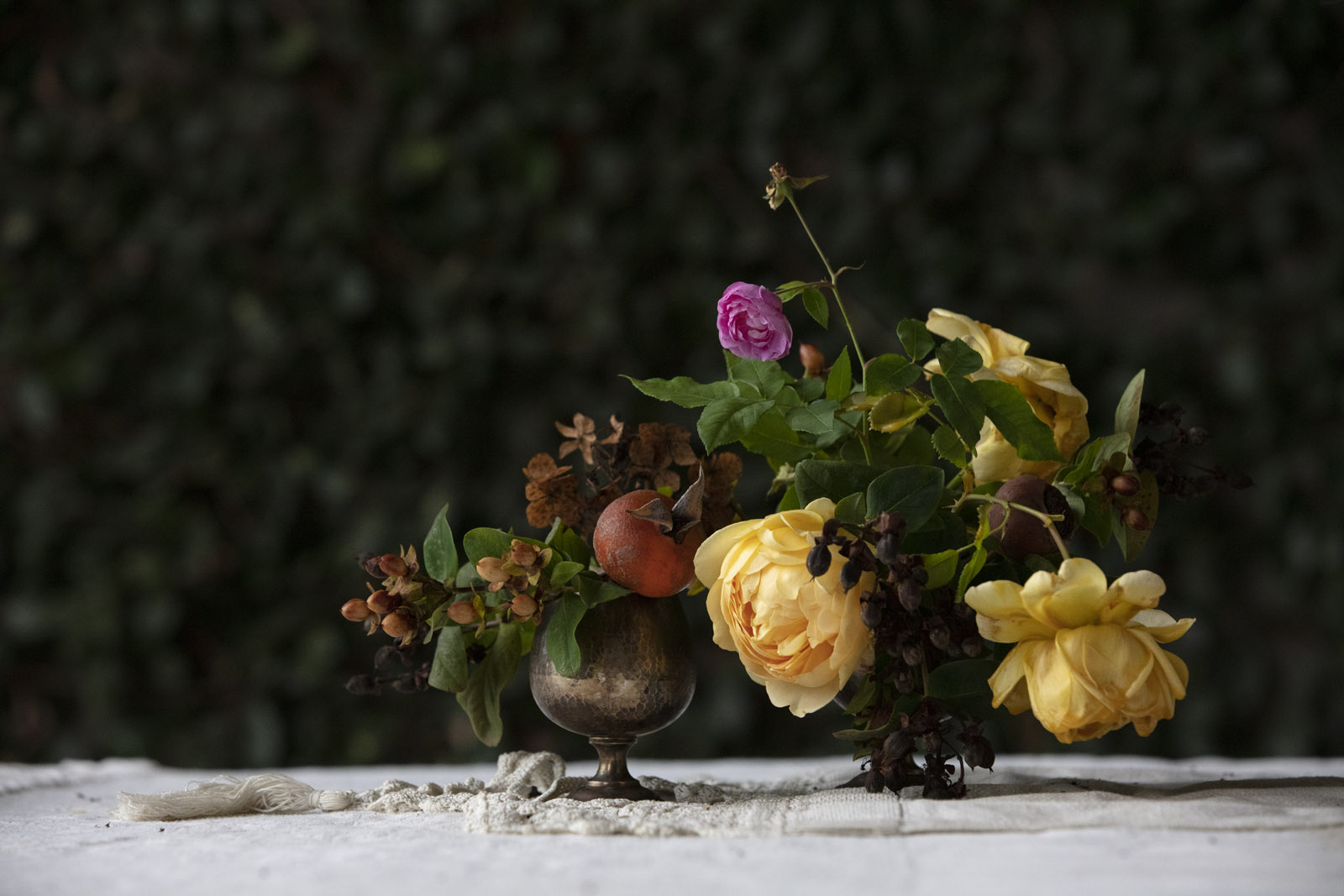 Quick Takes With: Louesa Roebuck - Gardenista