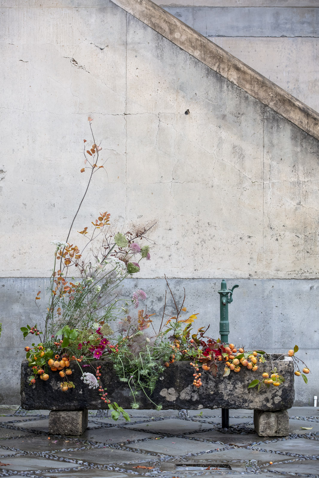 Quick Takes With: Louesa Roebuck - Gardenista