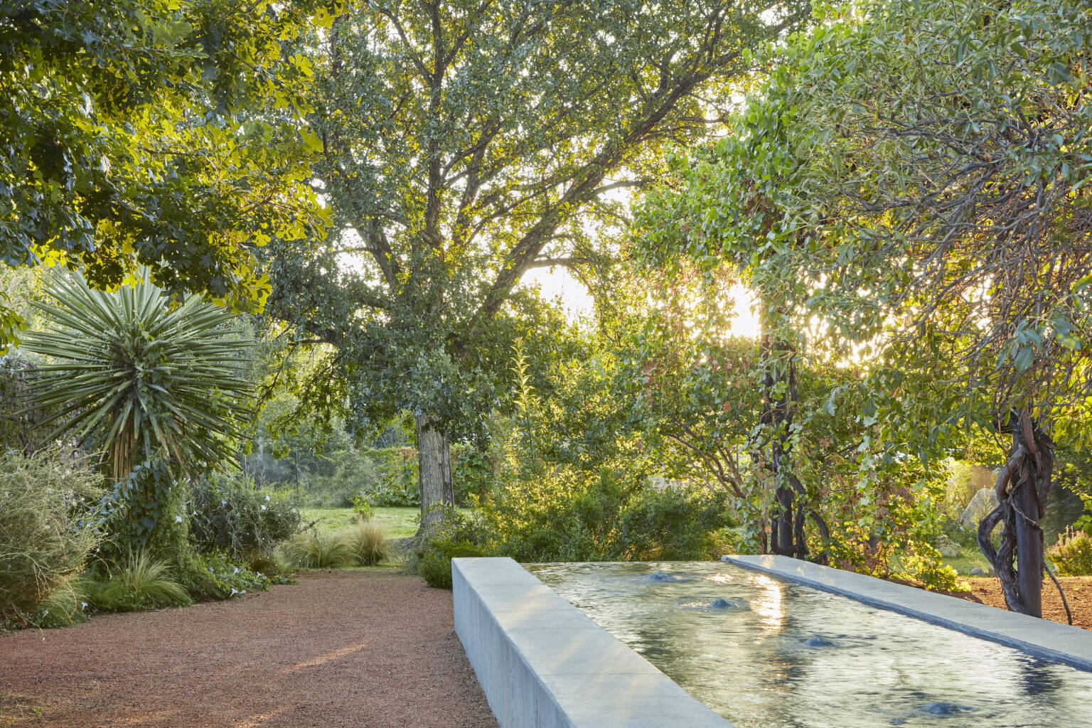 Christine Ten Eyck: An Interview with the Austin Landscape Architect