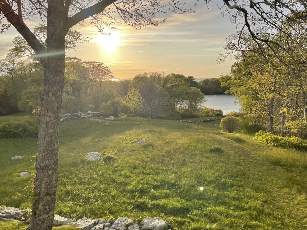 Christin Geall: An Interview with the Floral Designer and Writer