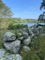 Christin Geall: An Interview with the Floral Designer and Writer