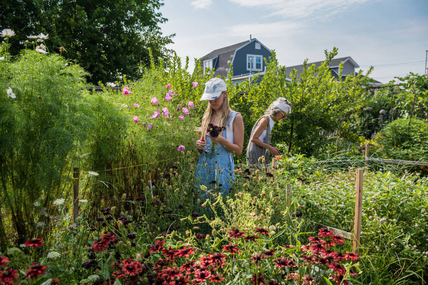 Edgemere Farm: An Urban Farm on Far Rockaway Offers Relief in a Food Desert