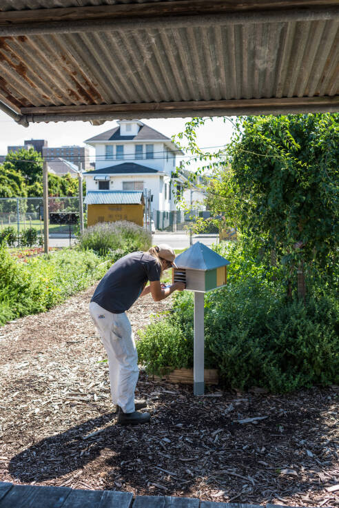 Edgemere Farm: An Urban Farm on Far Rockaway Offers Relief in a Food Desert