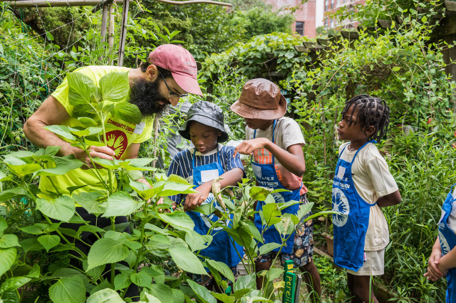 6&B Community Garden: Teaching Kids to Grow and Cook Fresh, Healthy ...