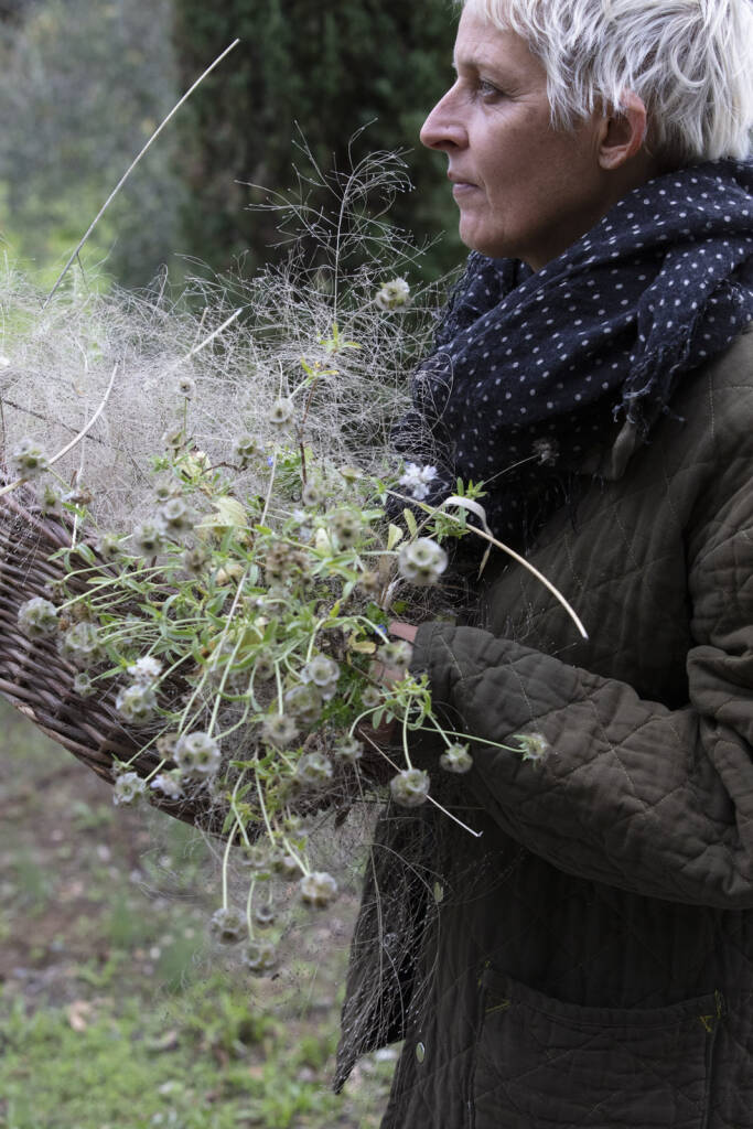 Quick Takes With: Louesa Roebuck - Gardenista