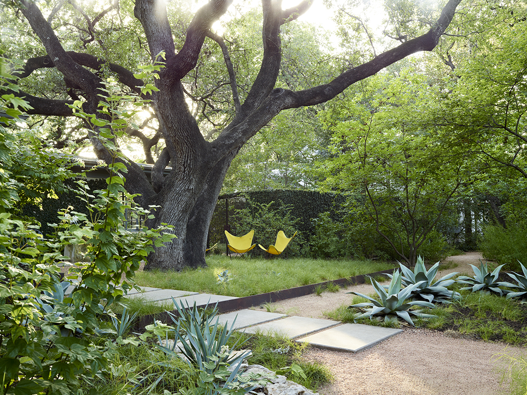 Christine Ten Eyck: An Interview with the Austin Landscape Architect