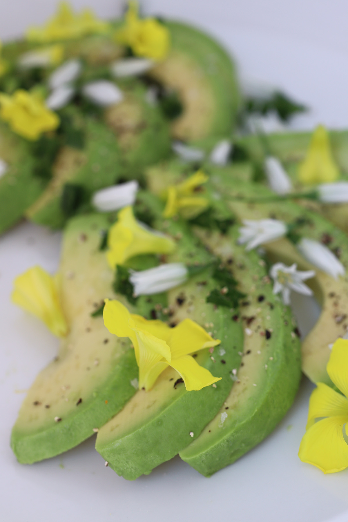 Bermuda Buttercup's Sour, Bright Flavor Is Great for Cooking