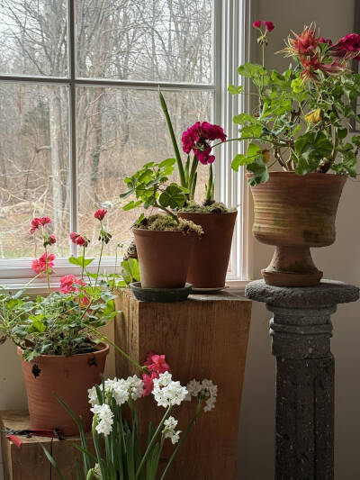 Frances Palmer: An Interview with the Ceramicist and Flower Aficionado