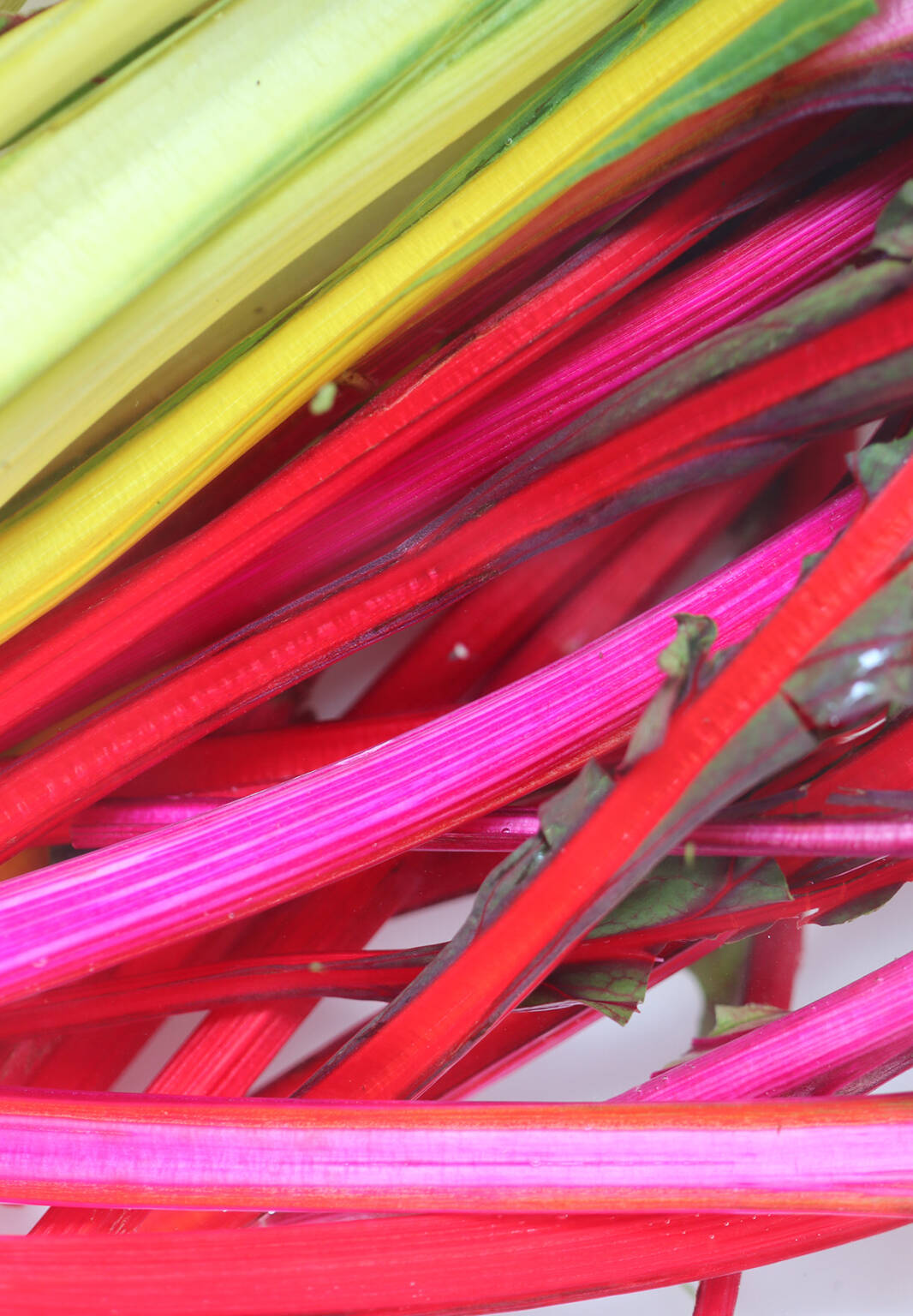 Grilled Swiss Chard Stems: A Simple Recipe Using Just 3 Ingredients