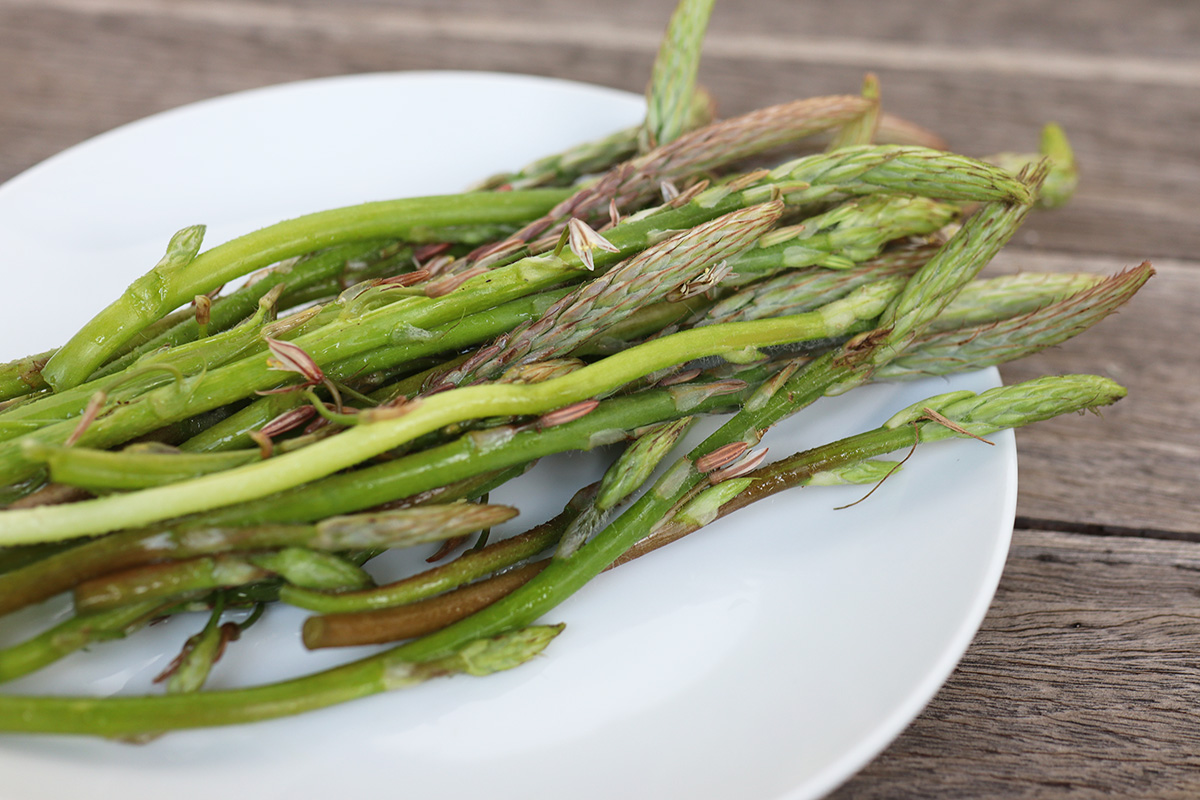 Veldkool: A Wild South African Vegetable that Can Be Foraged in the Spring