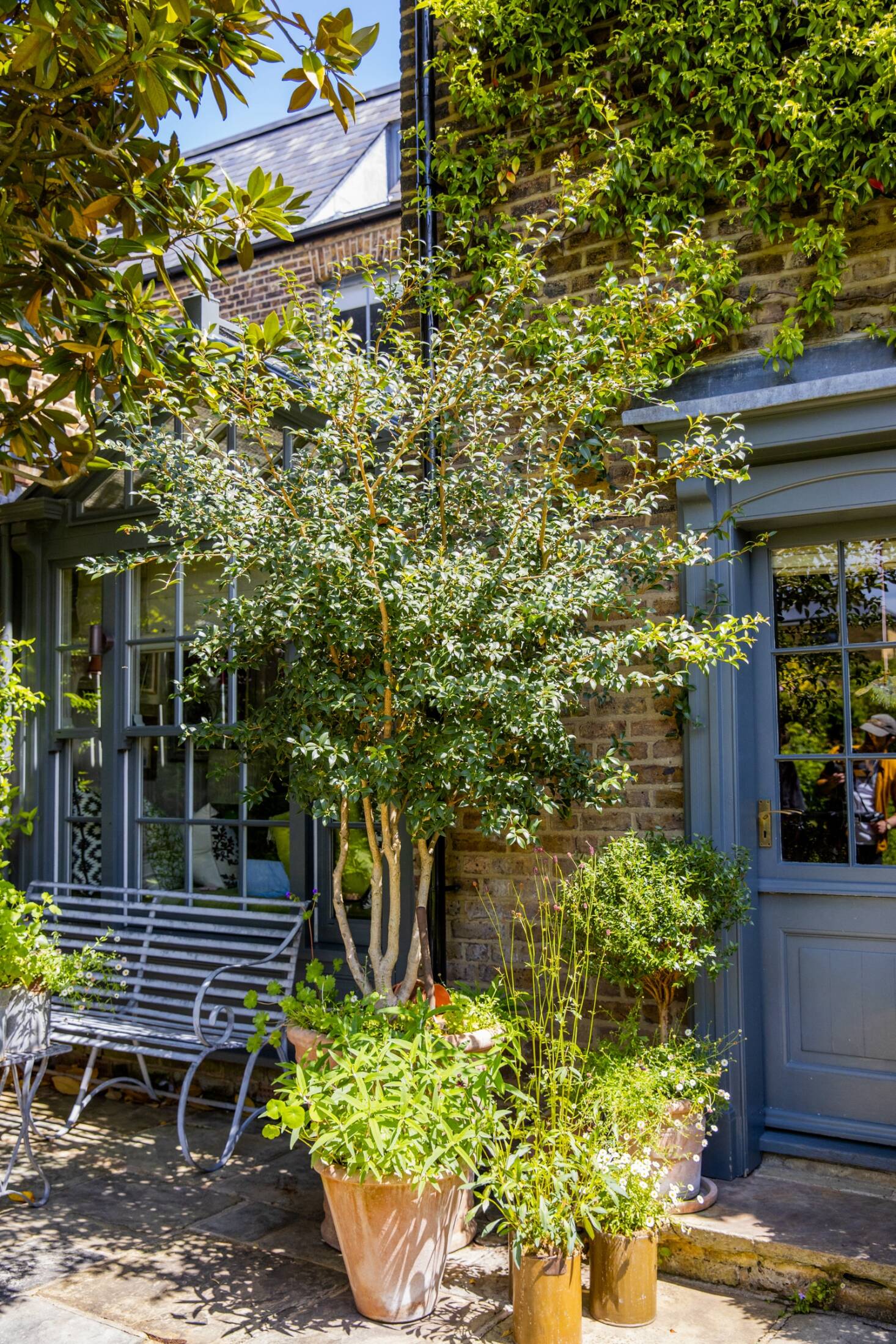 Butter Wakefield: An Interview with the London Garden Designer