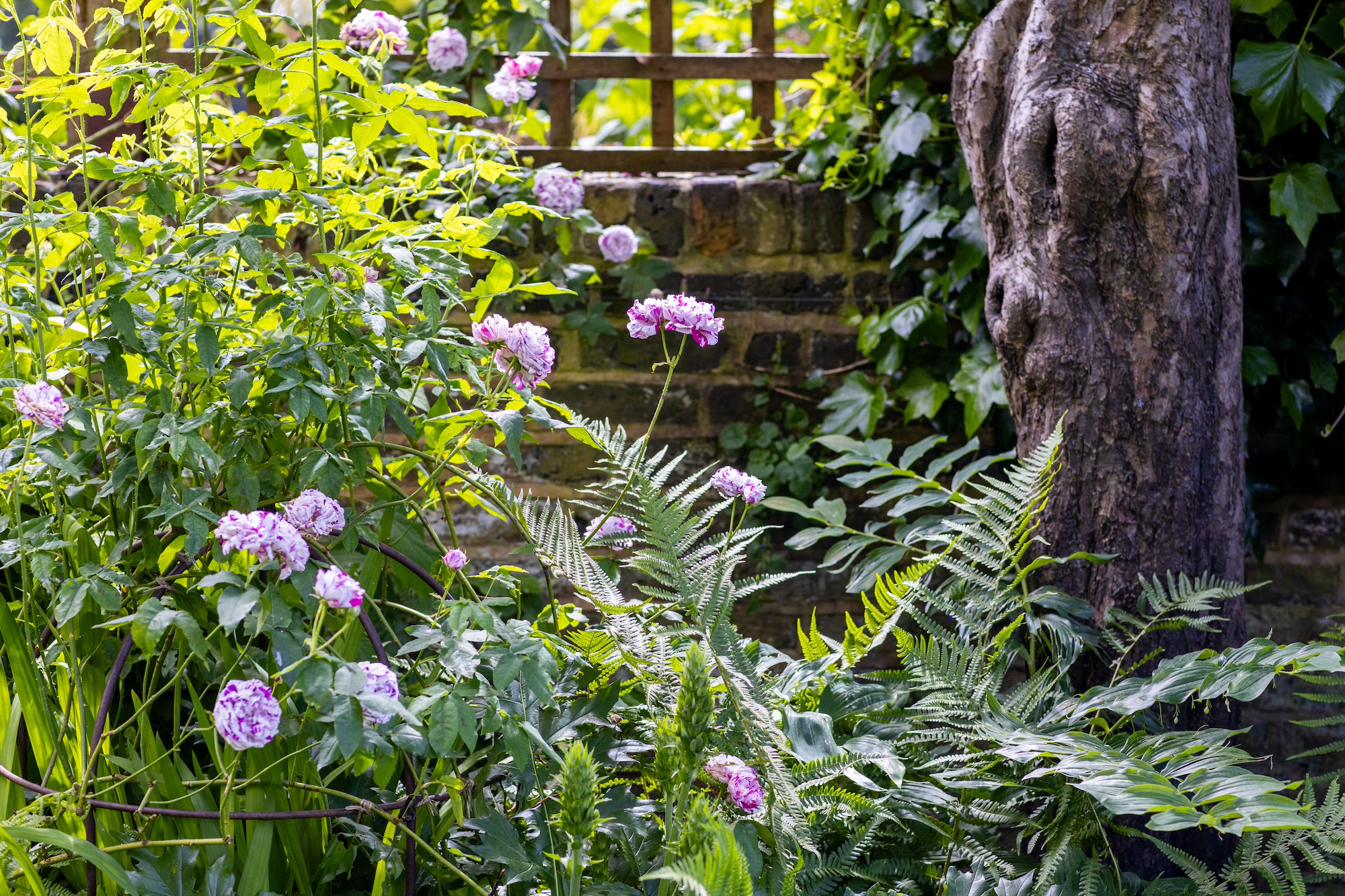 Butter Wakefield: An Interview with the London Garden Designer