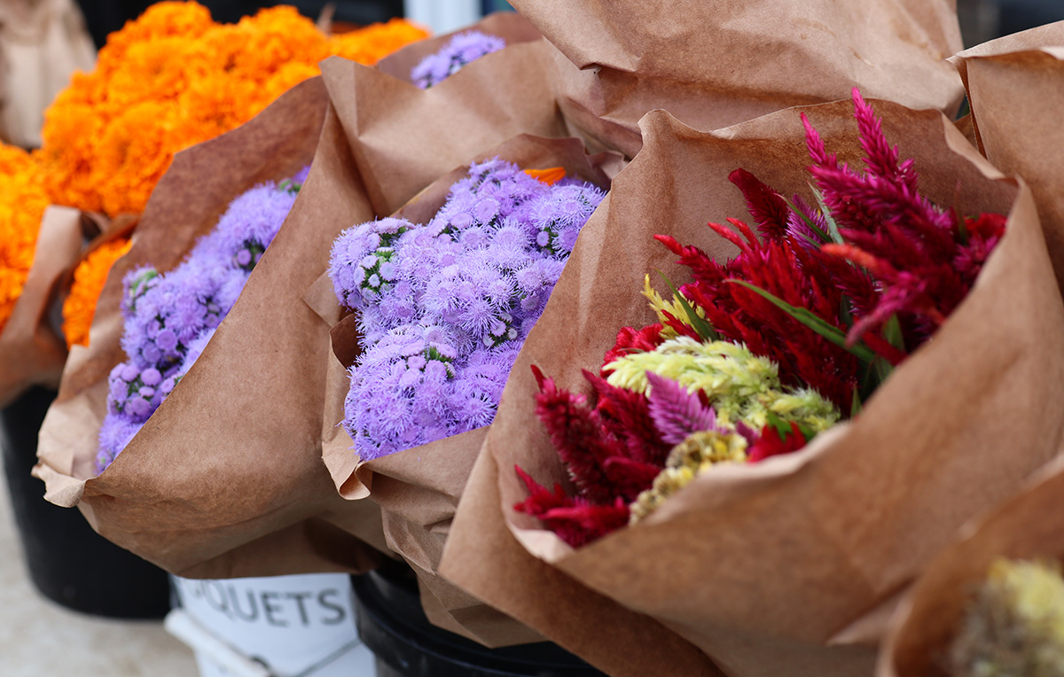 The Best Fall-Blooming Flowers Beyond Chrysanthemums