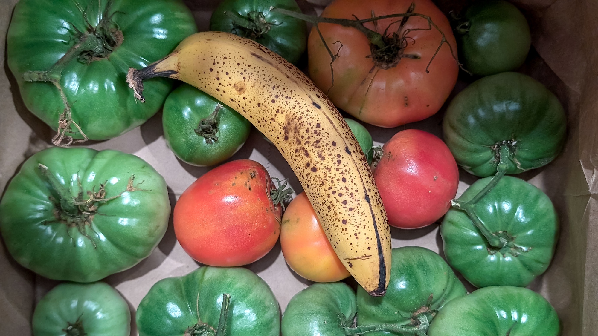 How to Ripen Green Tomatoes on the Counter: Best Tips for Speeding Up ...