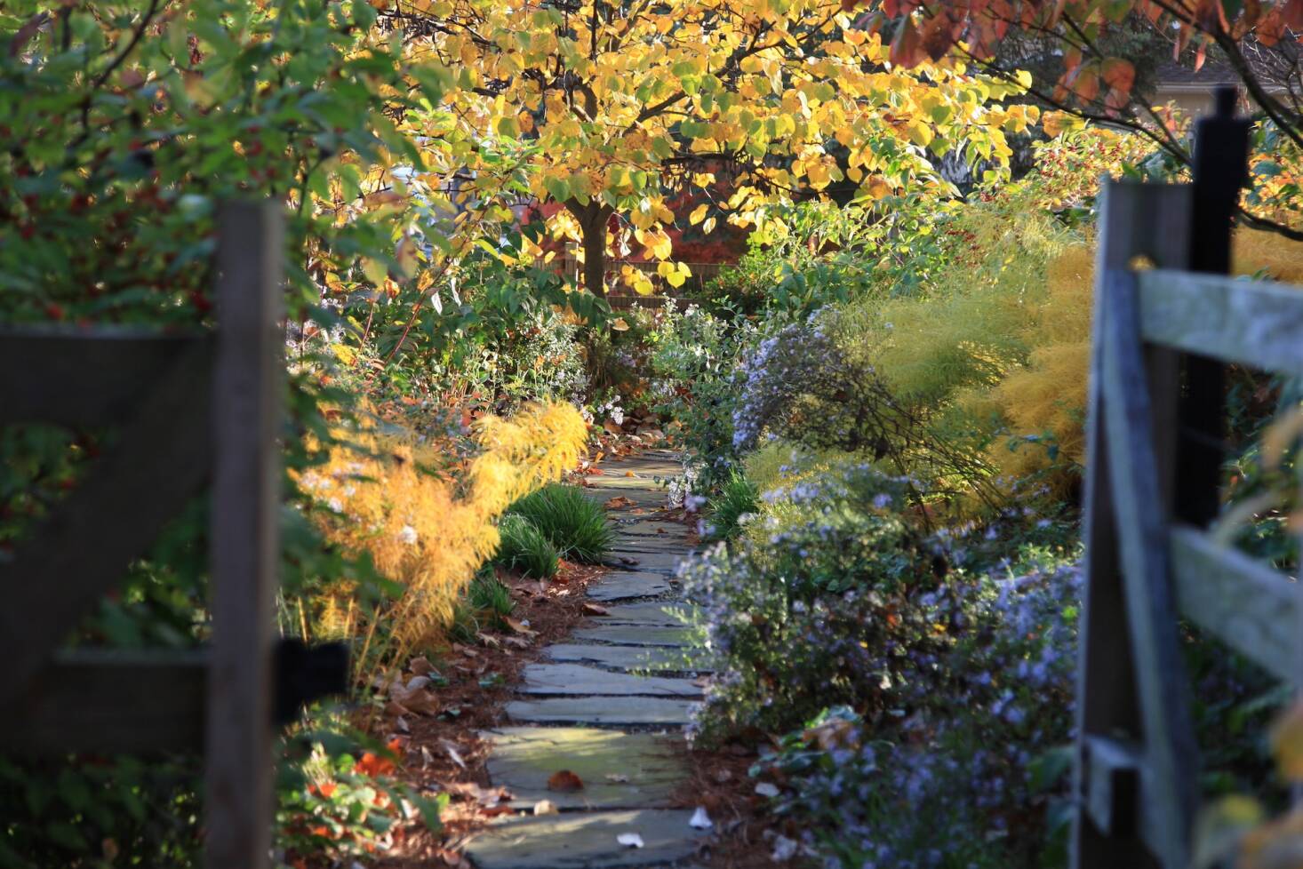 Fallen Leaves: What to Do With the Leaves on Your Property