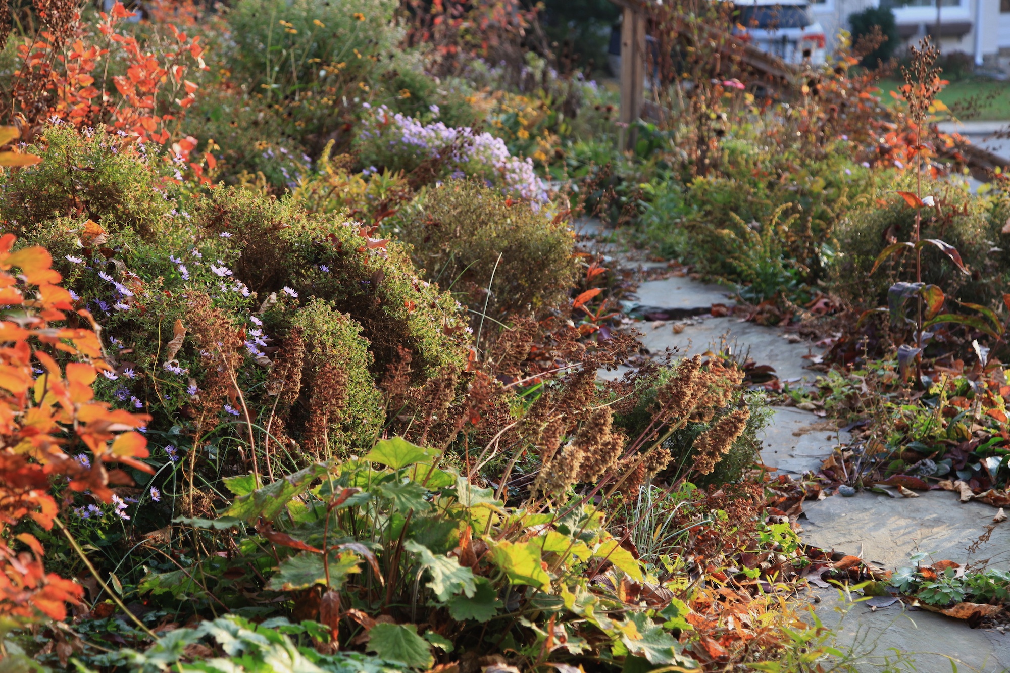 Fallen Leaves: What to Do With the Leaves on Your Property