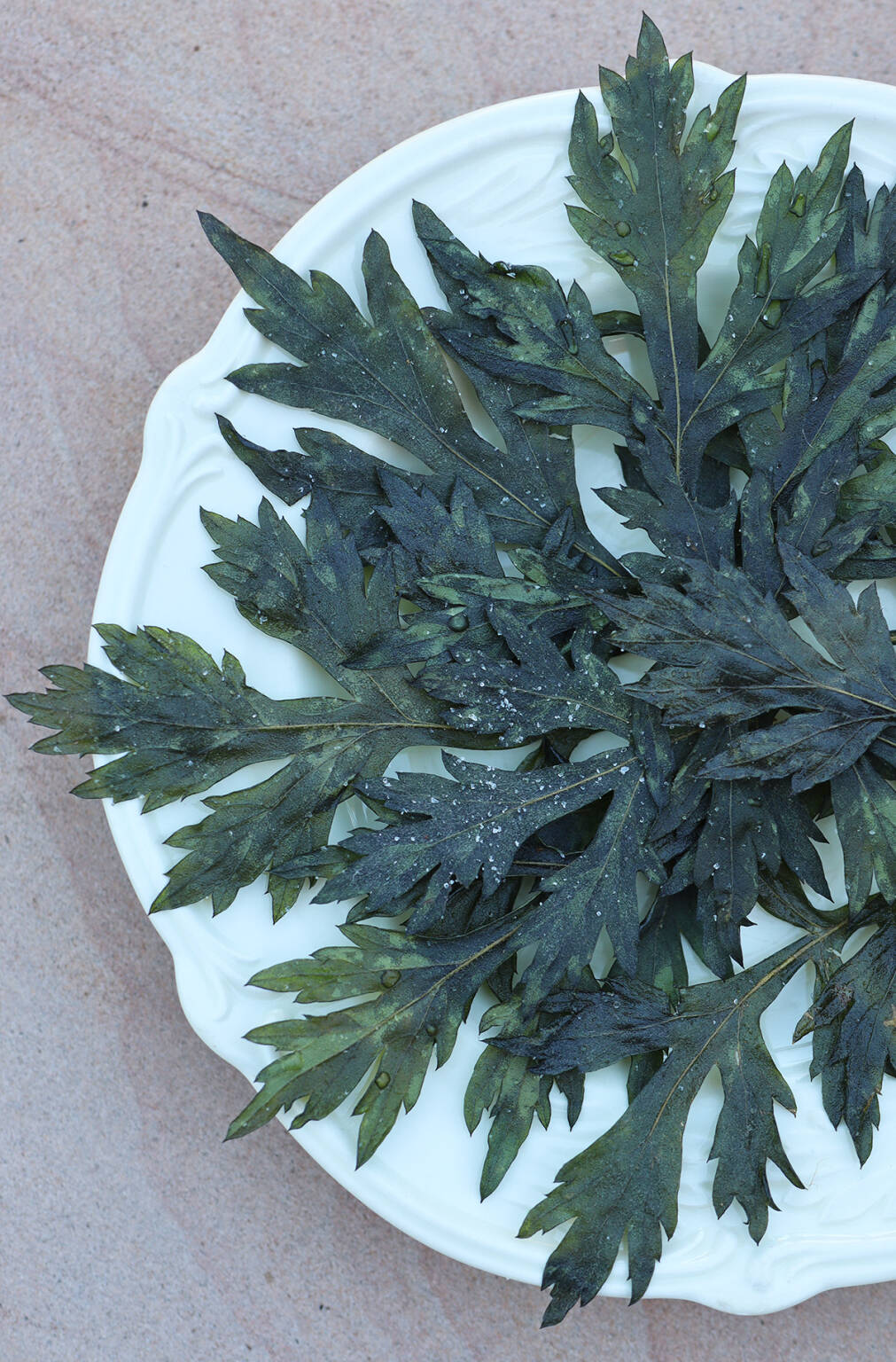 Mugwort Chips: An Easy Recipe Using the Herb Weed