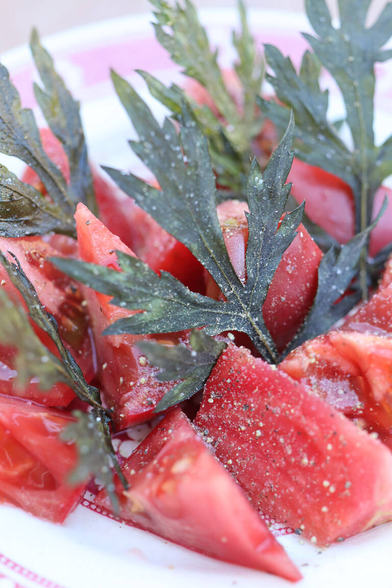 Mugwort Chips: An Easy Recipe Using the Herb Weed