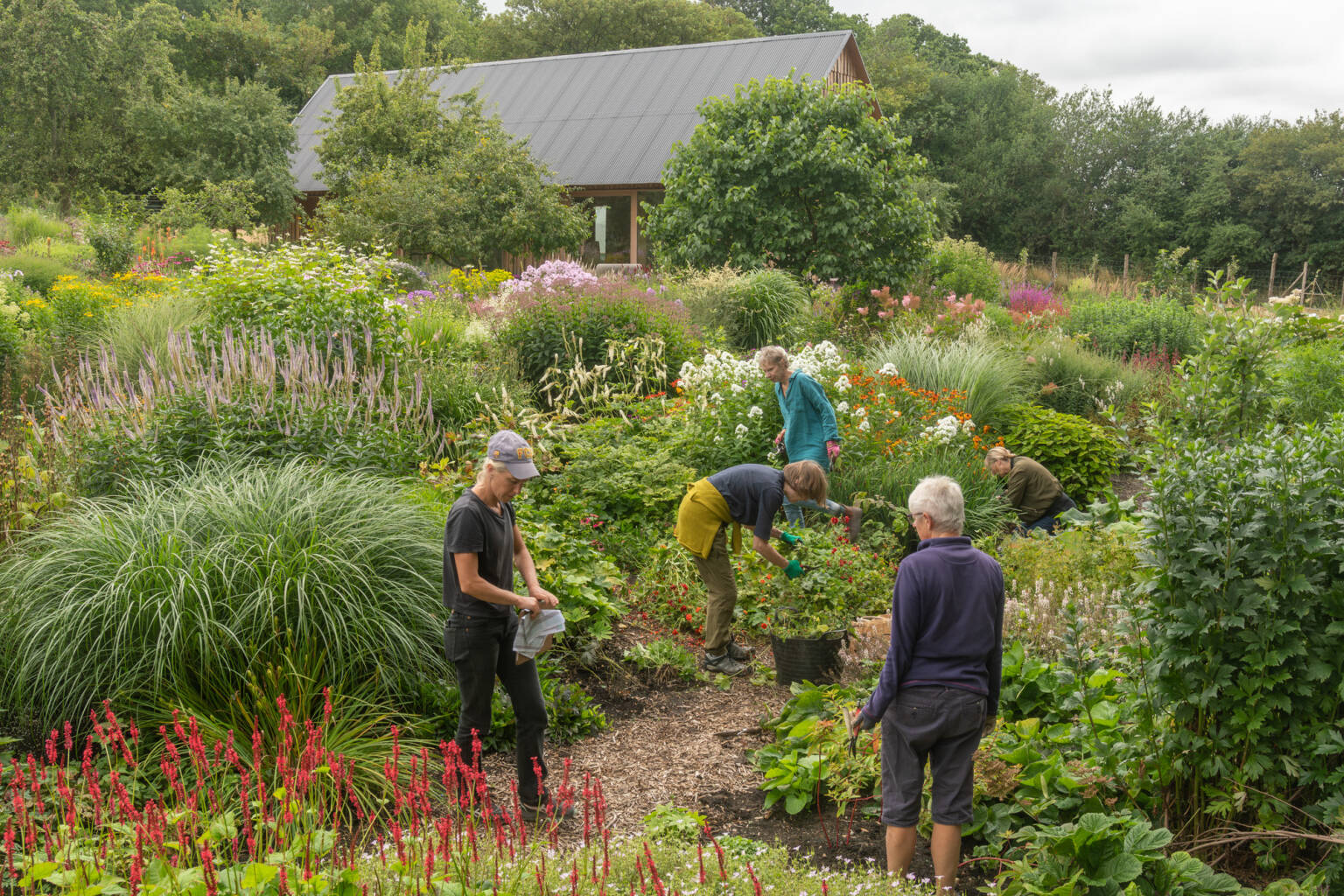 The Serge Hill Project: A Beautiful Non-Profit Garden Founded by Tom ...