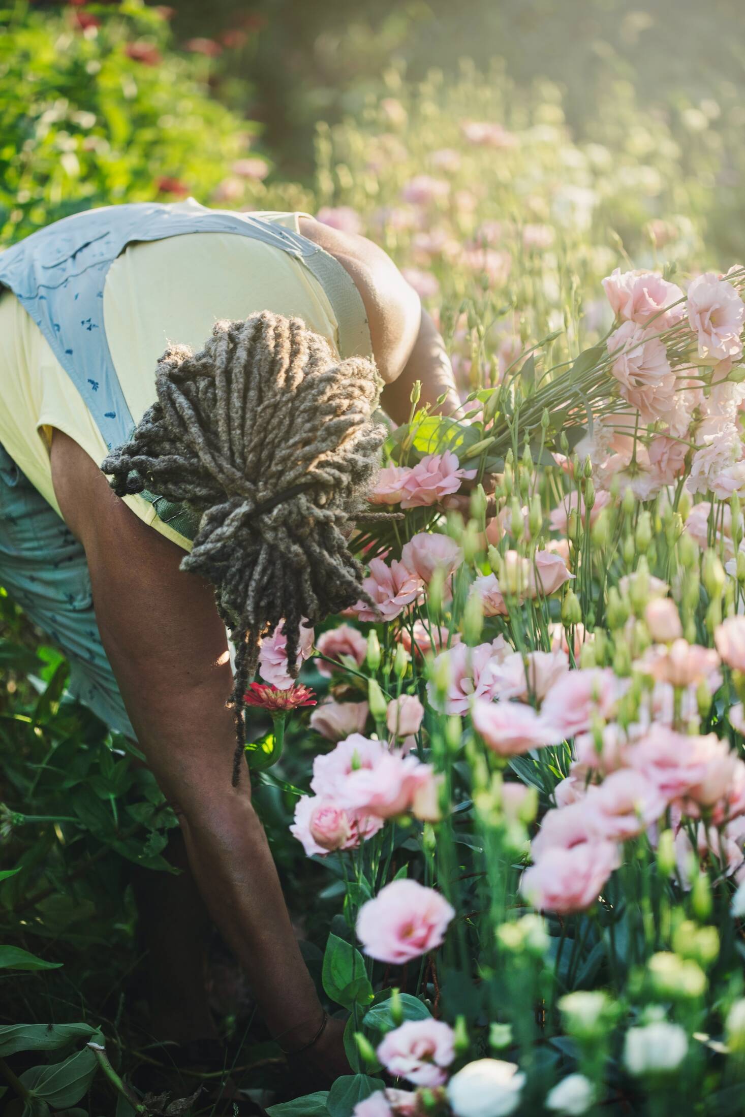 'Black Flora': A New Book by Teresa Speight on Black Trailblazers in ...