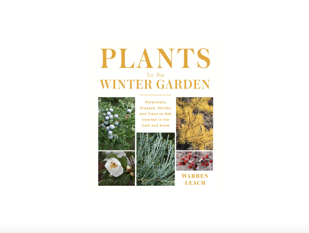 'Plants for the Winter Garden': Warren Leach's Debut Book Explores ...