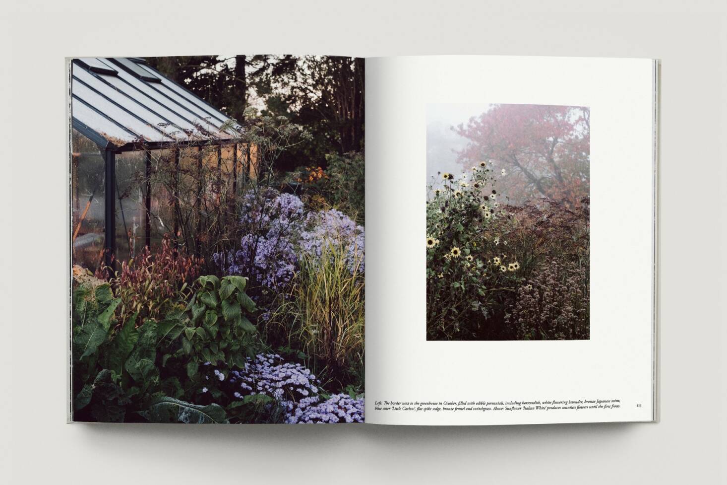 Best Garden Books of 2024 to Gift This Holiday Season
