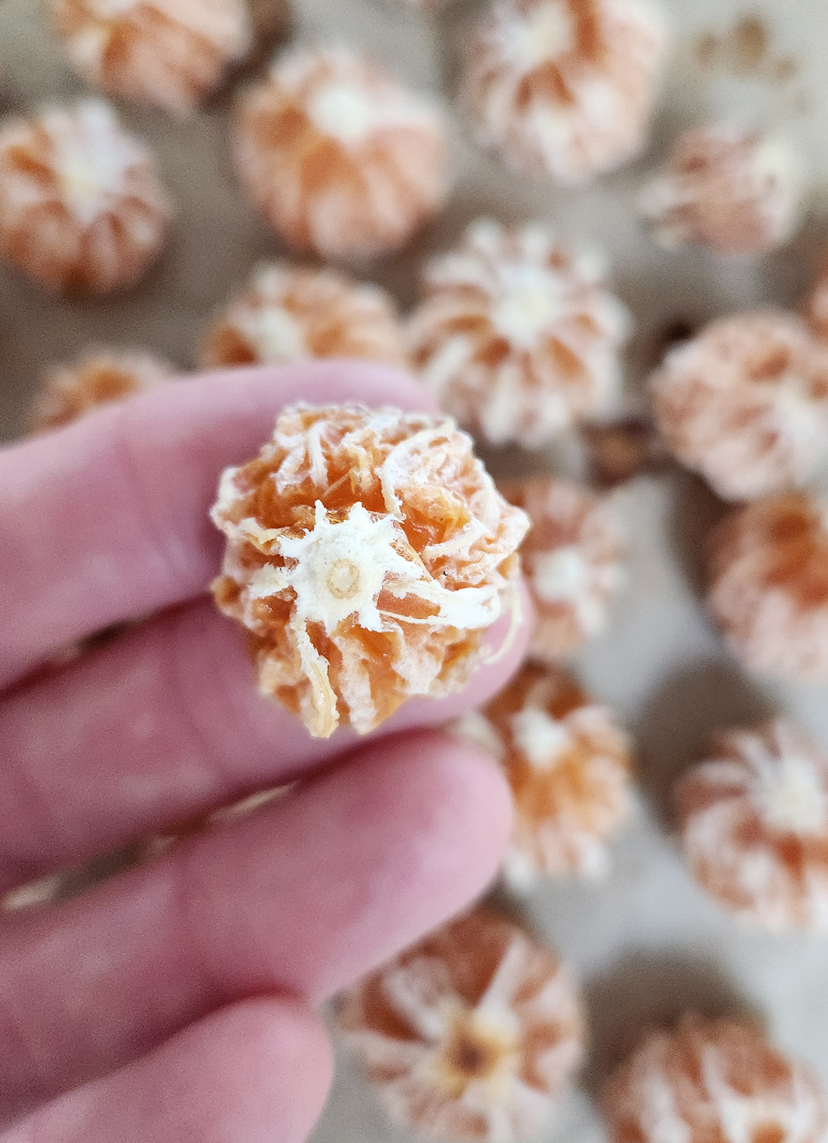Dried, Peeled Citrus Candy: A Recipe for a Healthy, Sugar-Free Sweet Treat