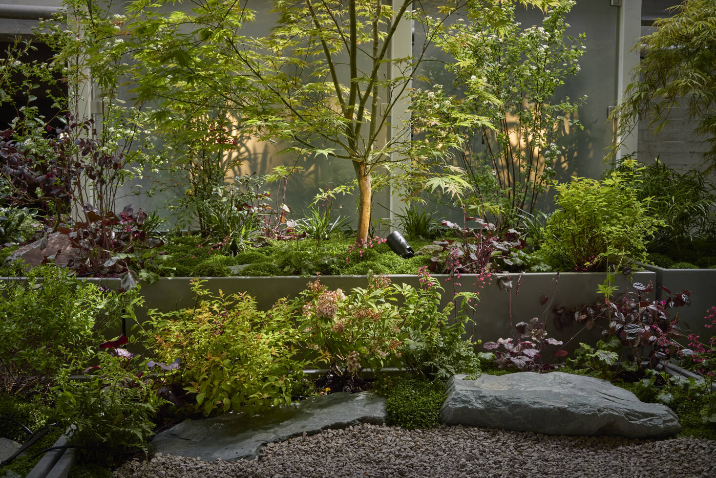 The Best Small Garden Ideas to Steal From the 2025 Society of Garden ...
