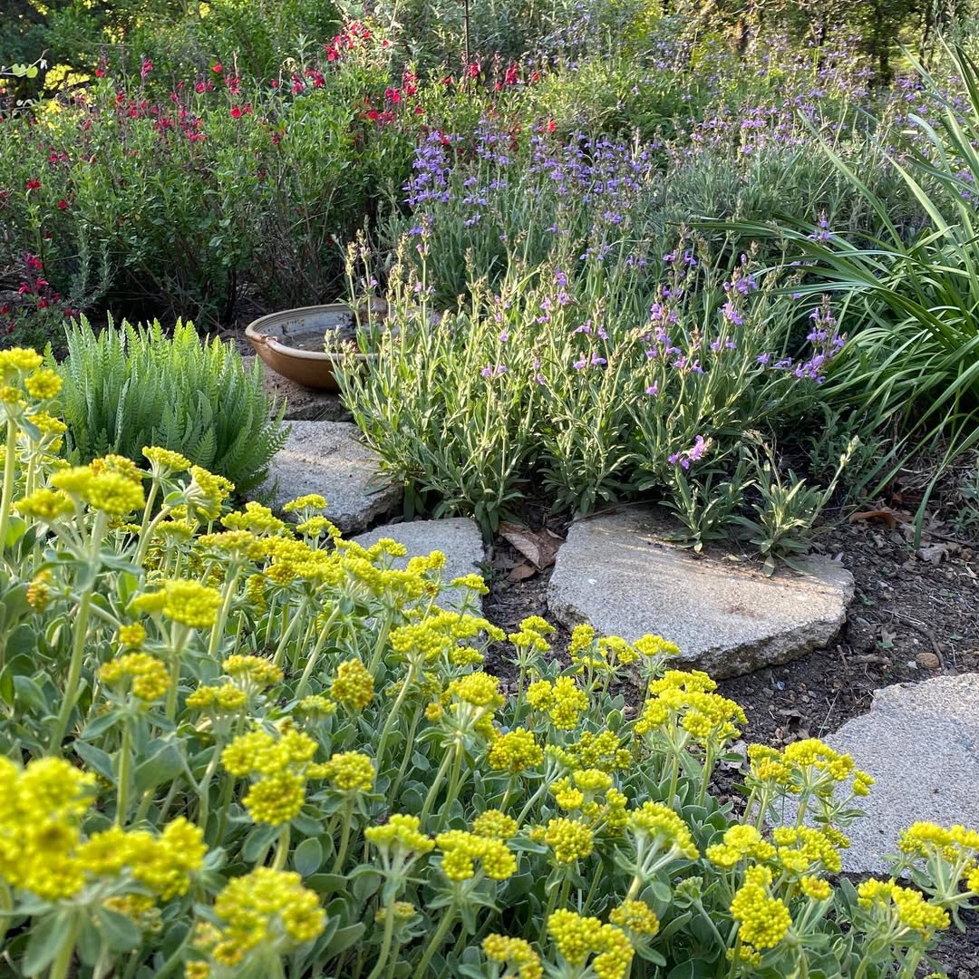 An Interview With Jennifer Jewell, the Creator of Cultiving Place