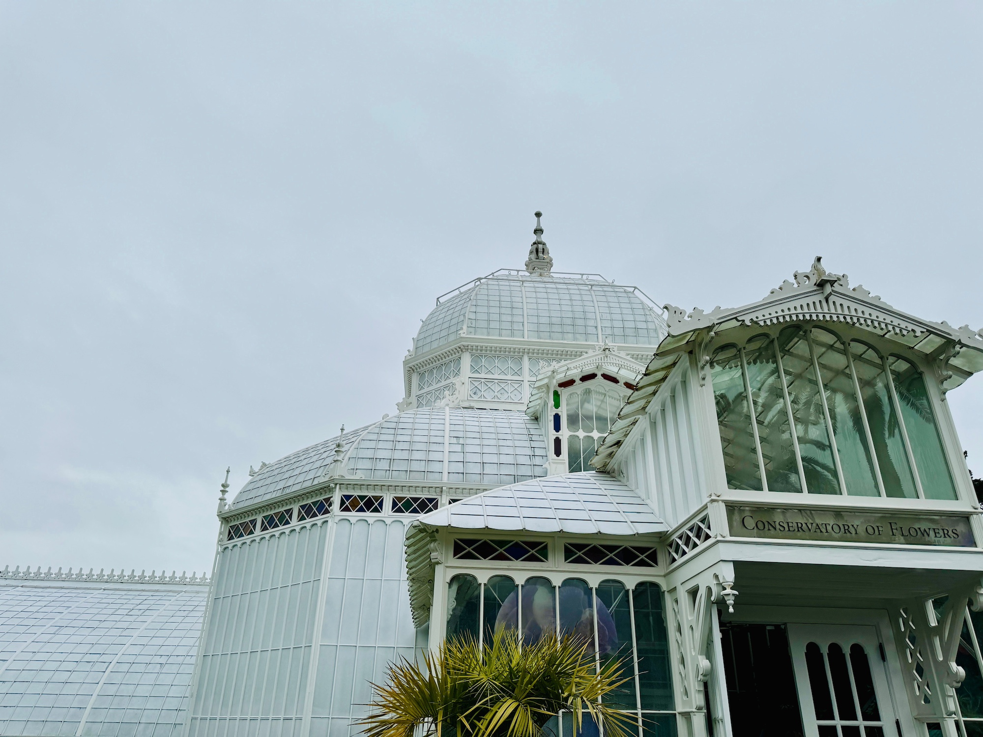 Garden Visit: The Conservatory of Flowers in San Francisco's Golden ...