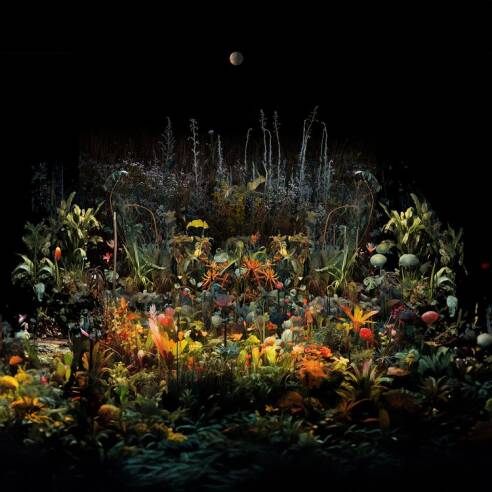 Mary Mattingly's 'Night Gardens': A Photography Exhibit Featuring ...