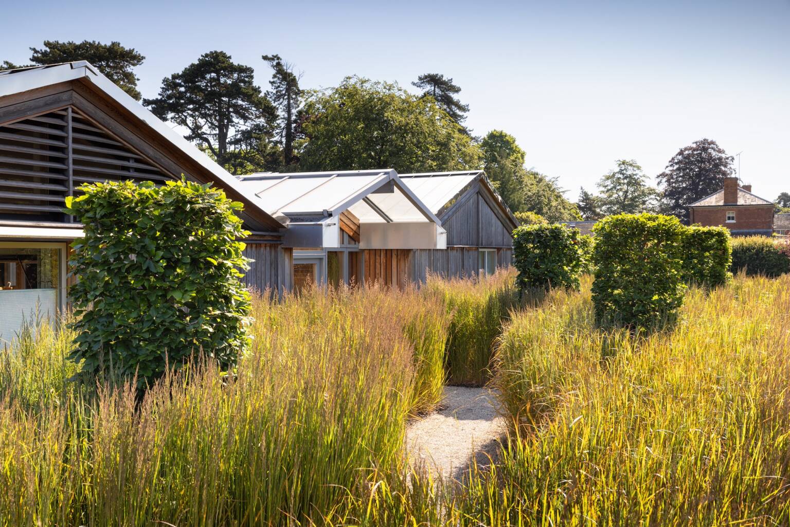 Colm Joseph's 2025 SGD People's Choice Award-Winning Walled Garden