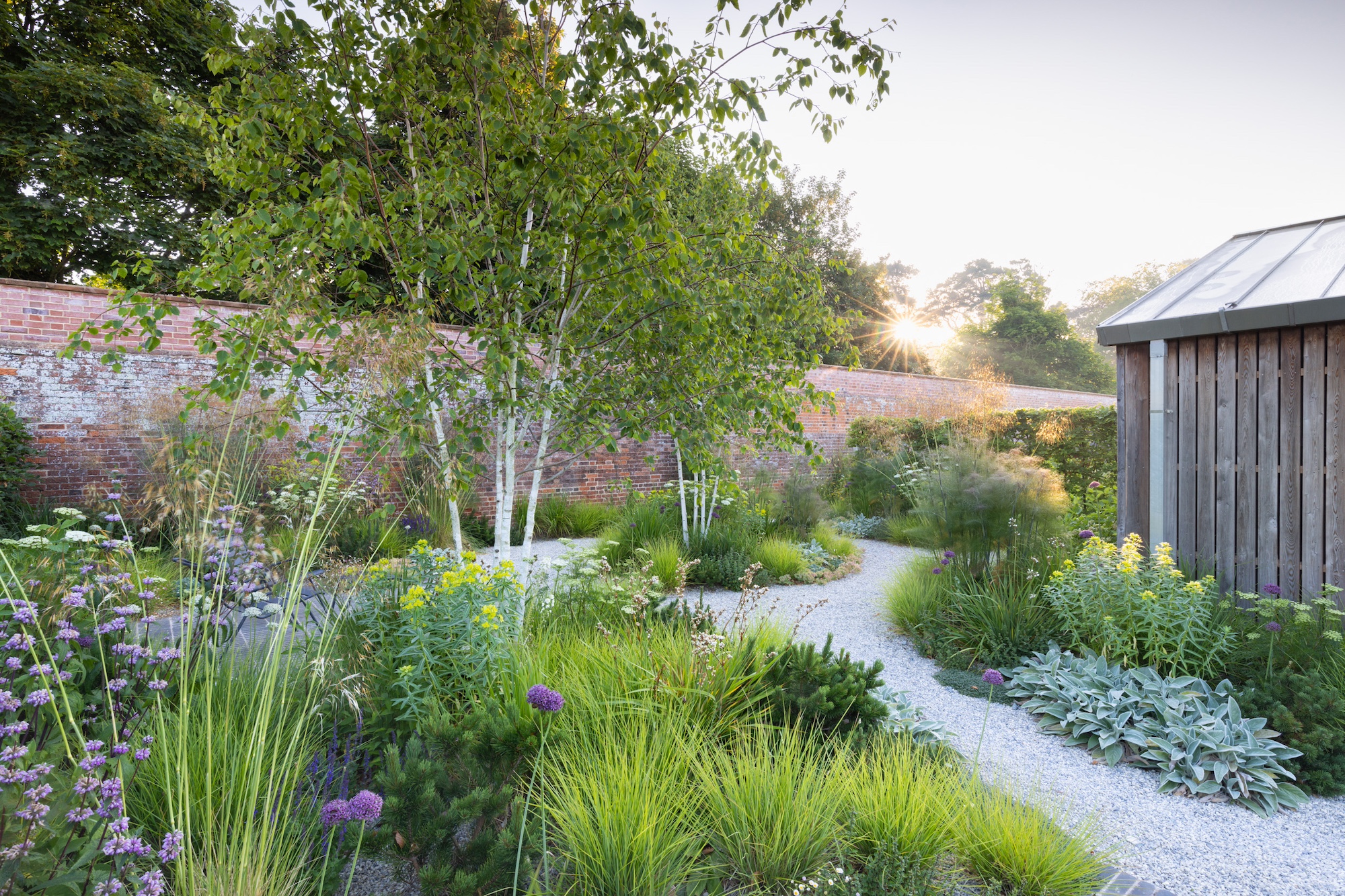 Colm Joseph's 2025 SGD People's Choice Award-Winning Walled Garden