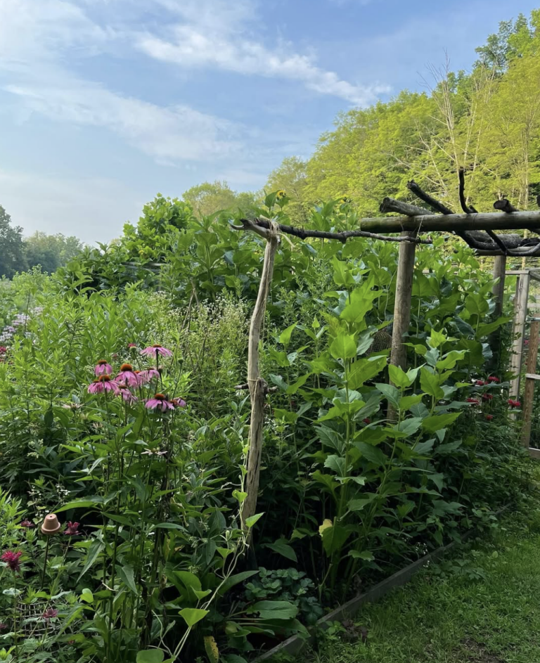 Priscilla Woolworth: An Interview with the Hudson Valley Climate ...