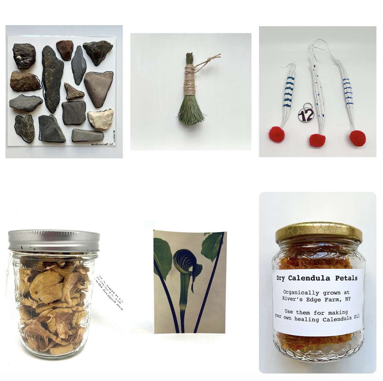 Priscilla Woolworth: An Interview with the Hudson Valley Climate Activist and Gardener