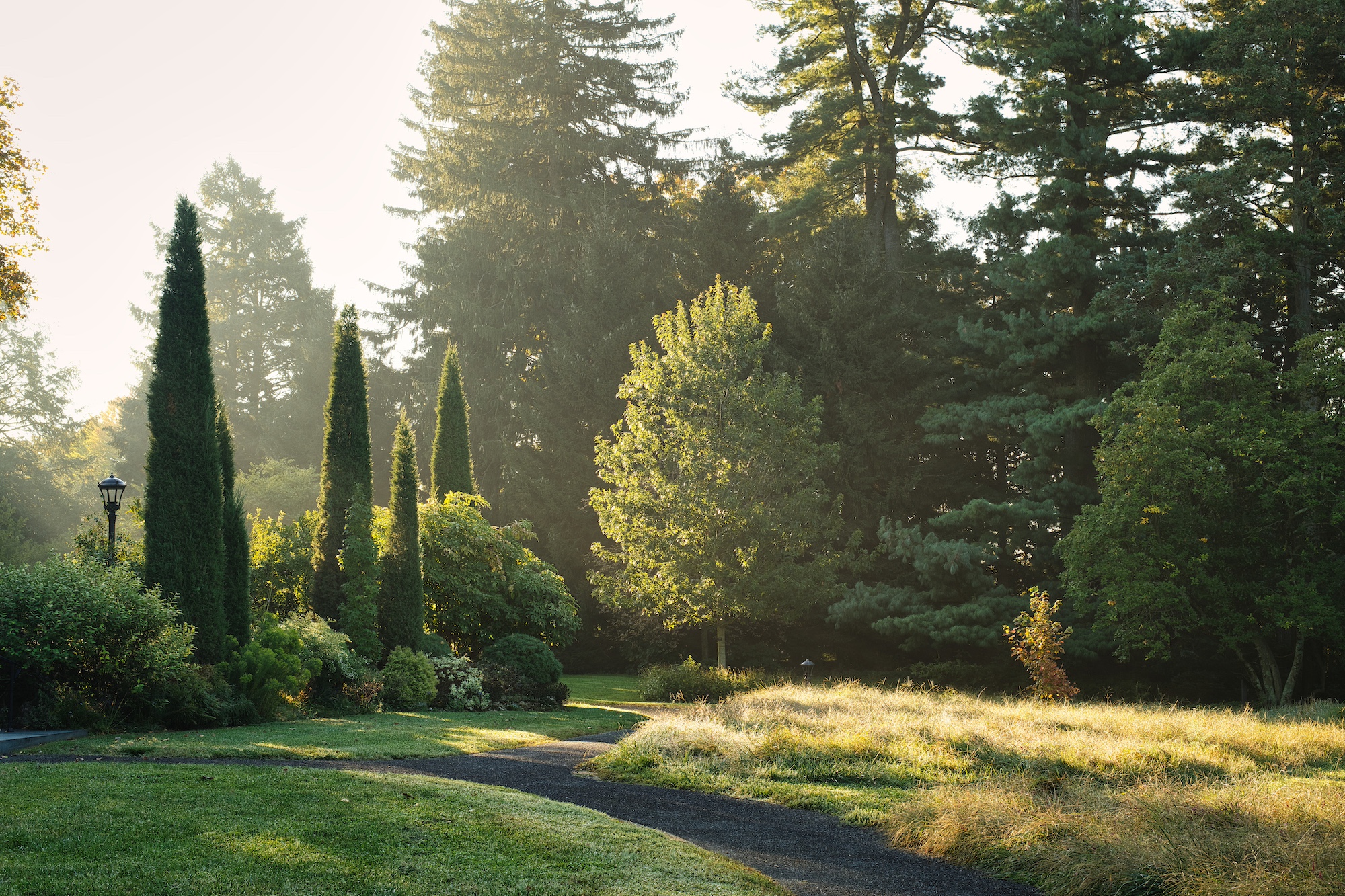Rethinking Native Gardens: Beyond Wildflower Meadows - Gardenista